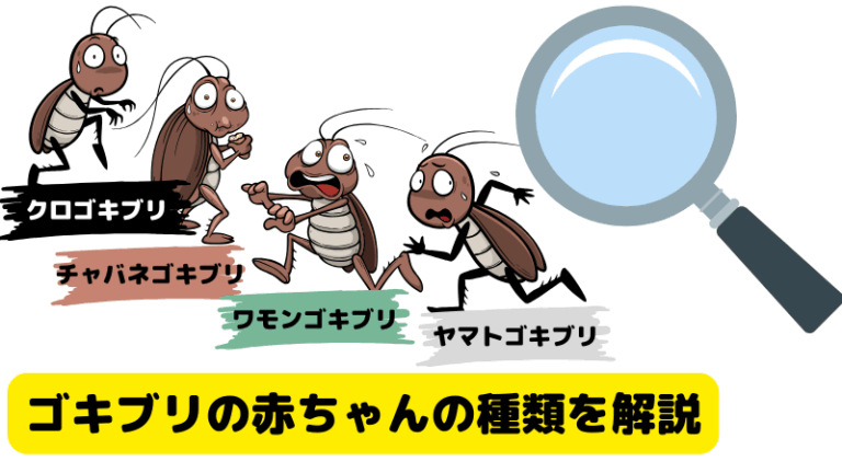 「ゴキブリの赤ちゃんを見つけたら要注意！」効果的な駆除と対策方法をプロ業者が解説 - ゴキブリ駆除・対策のプロ集団 ..害虫獣SOS