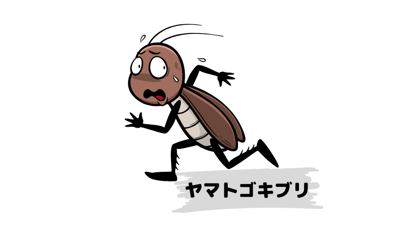 「ゴキブリの赤ちゃんを見つけたら要注意！」効果的な駆除と対策方法をプロ業者が解説 - ゴキブリ駆除・対策のプロ集団 ..害虫獣SOS